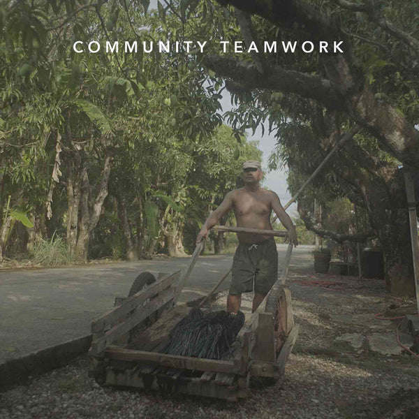 Teamwork : Two Head are Better Than One - Maisoncraft